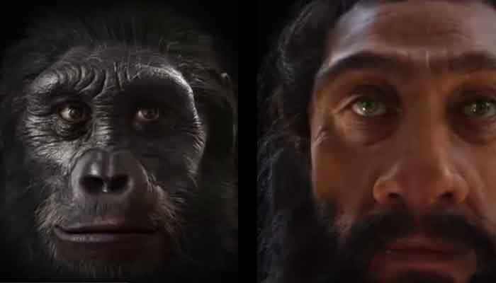 The evolution of man's face over the course of 6 million years | 1 मिनट ...