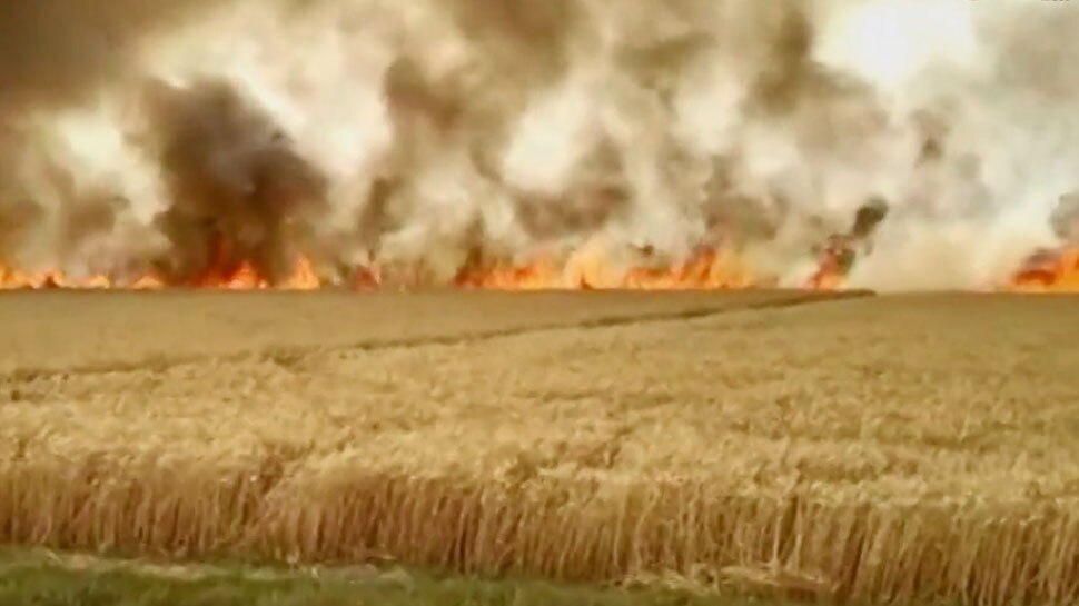 VIDEO: गेहूं की फसल पर 'बिजली' का कहर, 271 एकड़ फसल हुई जलकर खाक ...