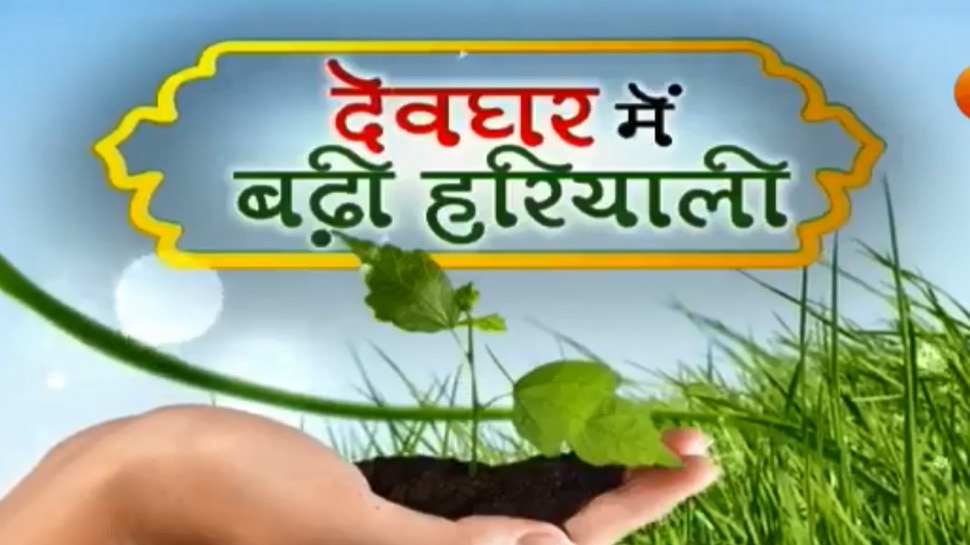 Raghuvar Sarkar launches plantation campaign in devghar (Exclusive ...