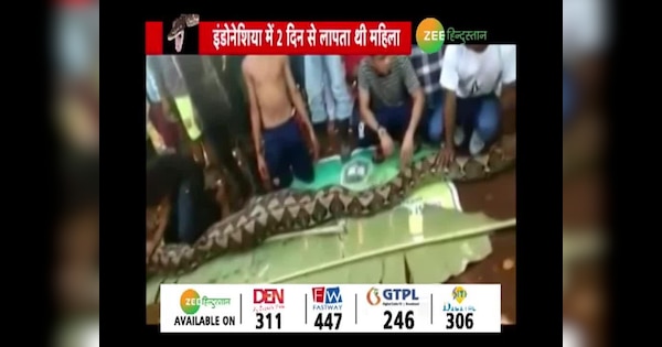 7 meter python swallowed an old woman in Indonesia | जानिए क्या हुआ, जब ...