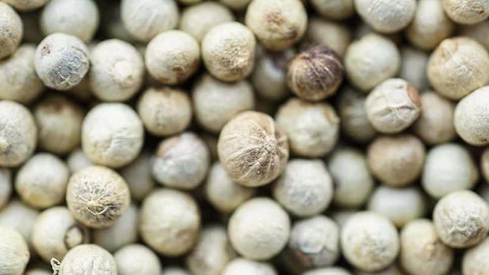 Seven Health Benefits Of White Pepper In Hindi 
