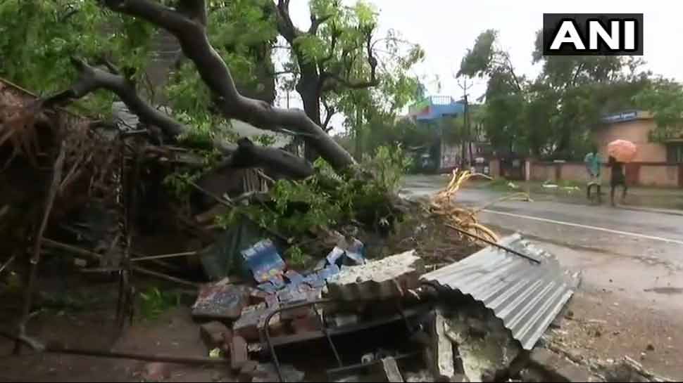 Gaza cyclone updates : trees uprooted and houses damaged in ...