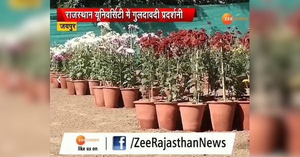 The only University of North India where every year is exhibited by ...