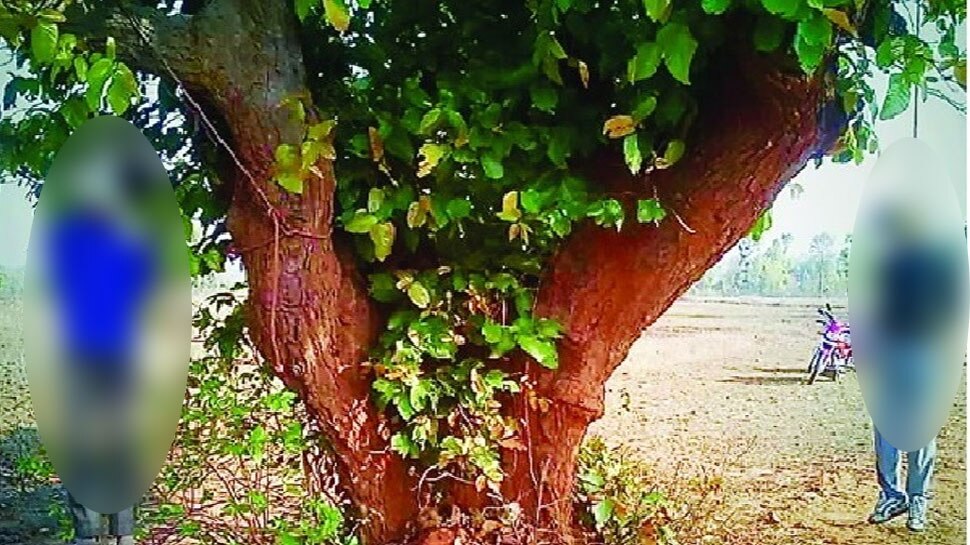 Latehar Mob lynching case court punished life imprisonment all eight ...