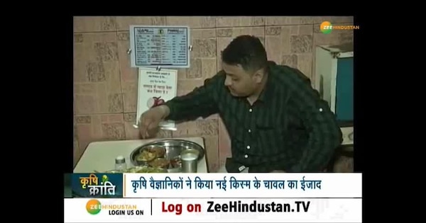 Krishi Kranti: Rice Research Institute Hyderabad discovered sugar free ...