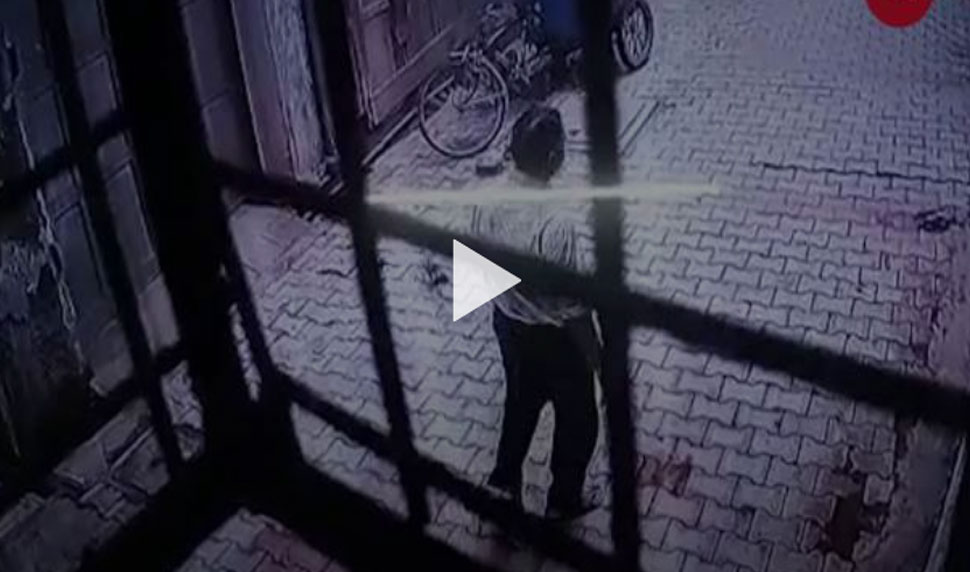 Monkey attack on man in Mathura, Video goes viral on Social media ...