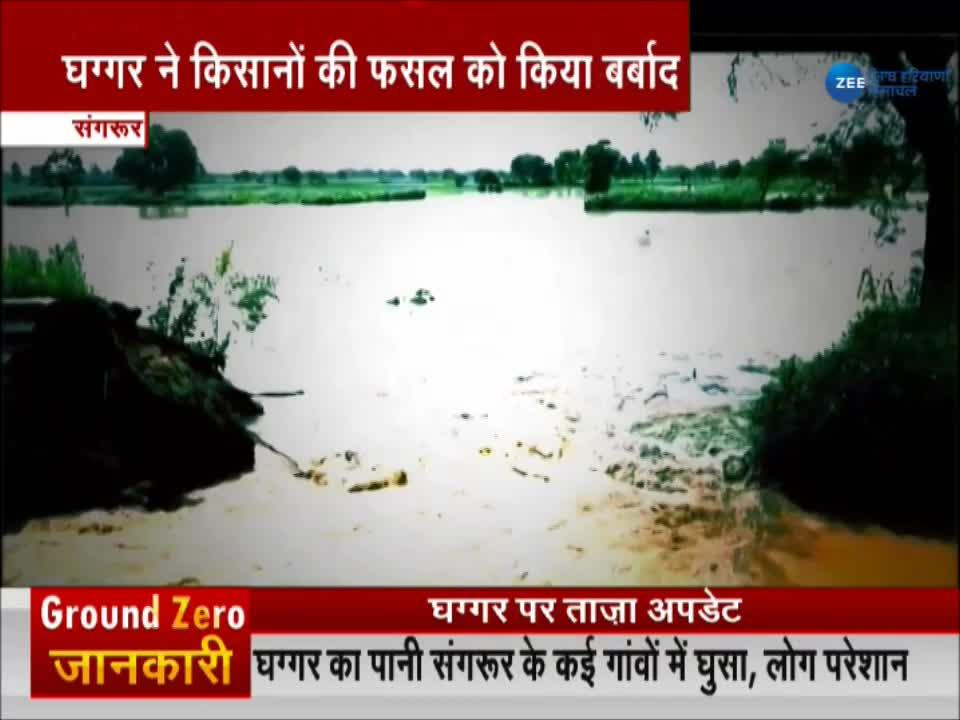 Sangrur, Ghaggar River | घग्गर ने बर्बाद की संगरुर के लोगों की उम्मीदें ...