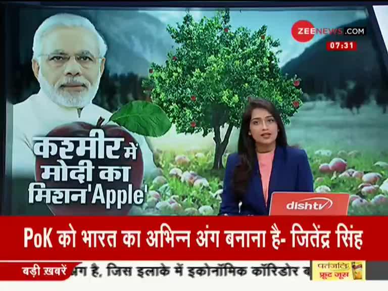 Modi government decides to procure apples cultivated in J&K | केंद्र ...