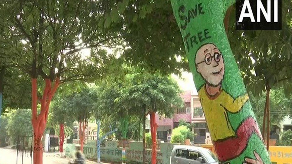 Trees painted with colours as part of beautification drive in Lucknow ...