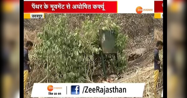 Aapki Aawaz Panther movement has increased in Machla Magra area of ...