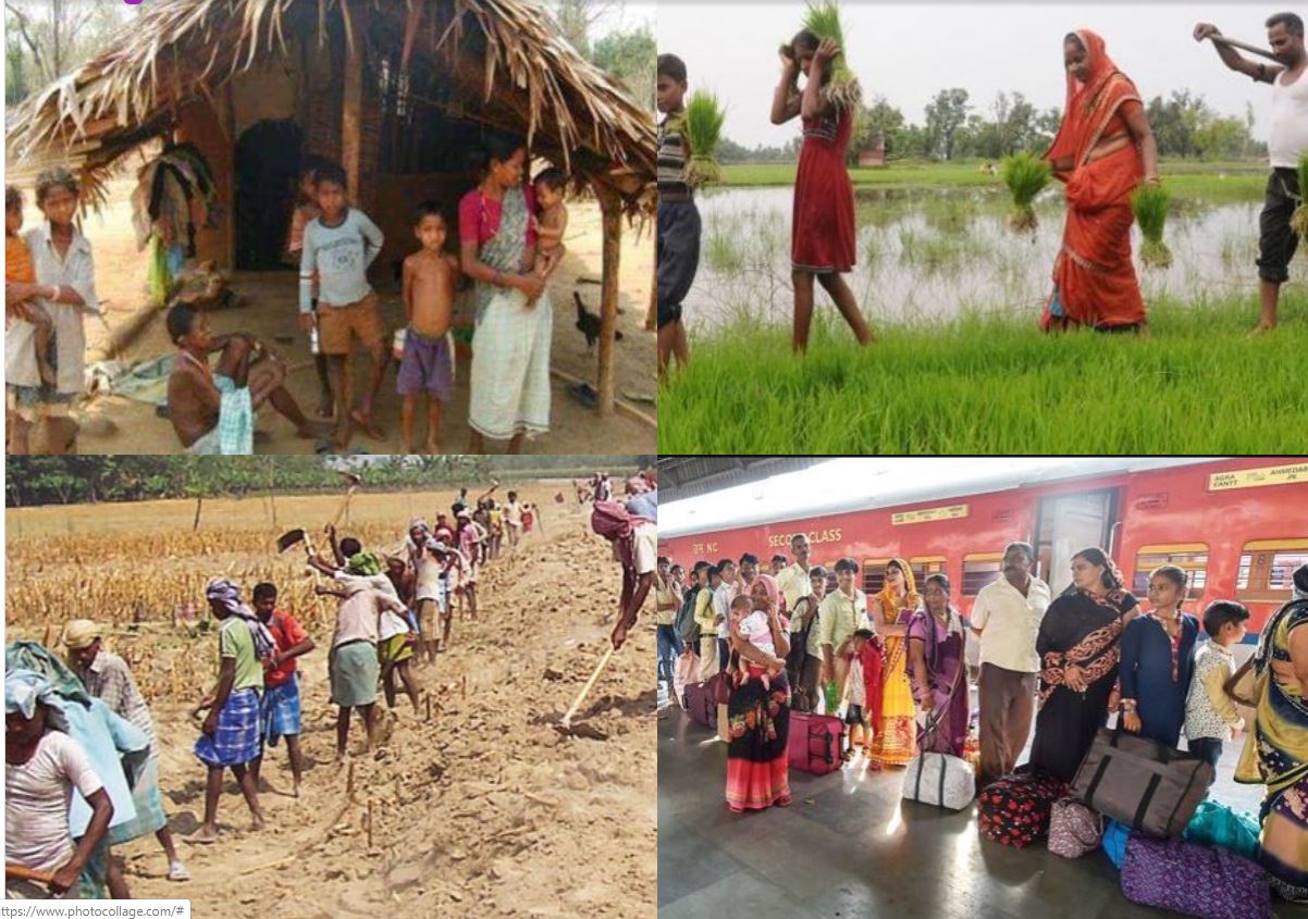 Poverty rate in rural India is rising says NSO data, know what are the ...