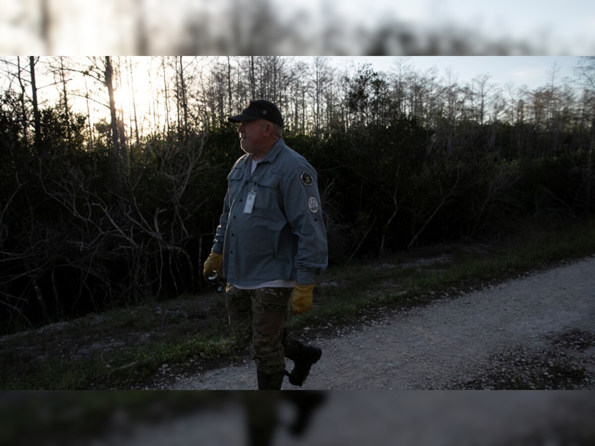 Man encountered with 13 foot long Python during 2020 Python Challenge ...