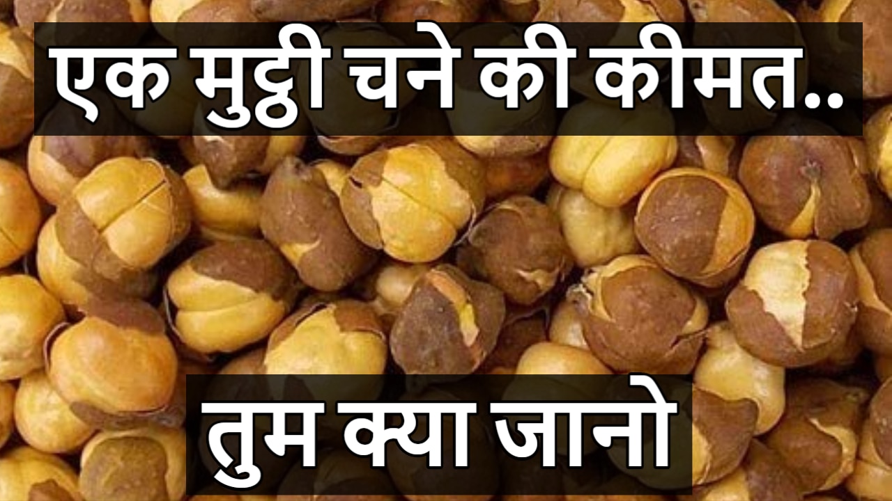 VIDEO : health benefits of eating gram in daily diet | VIDEO : सीधे ...