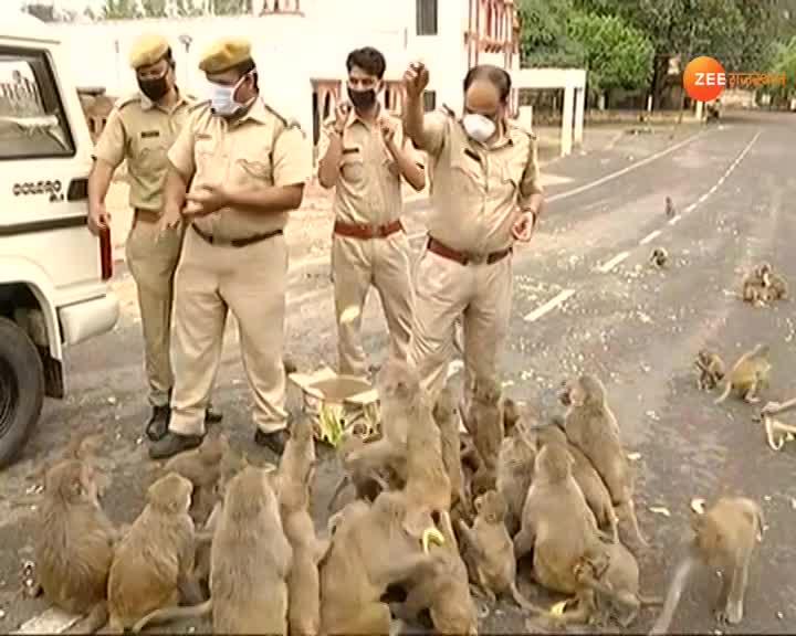 Police officer Monkey, Dog, Cow & Birds's Love in Coronavirus LockDown ...