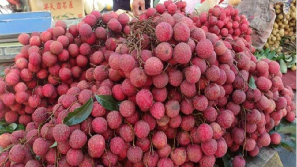 This year shahi muzaffarpur litchi will be even more sweet and tasty ...