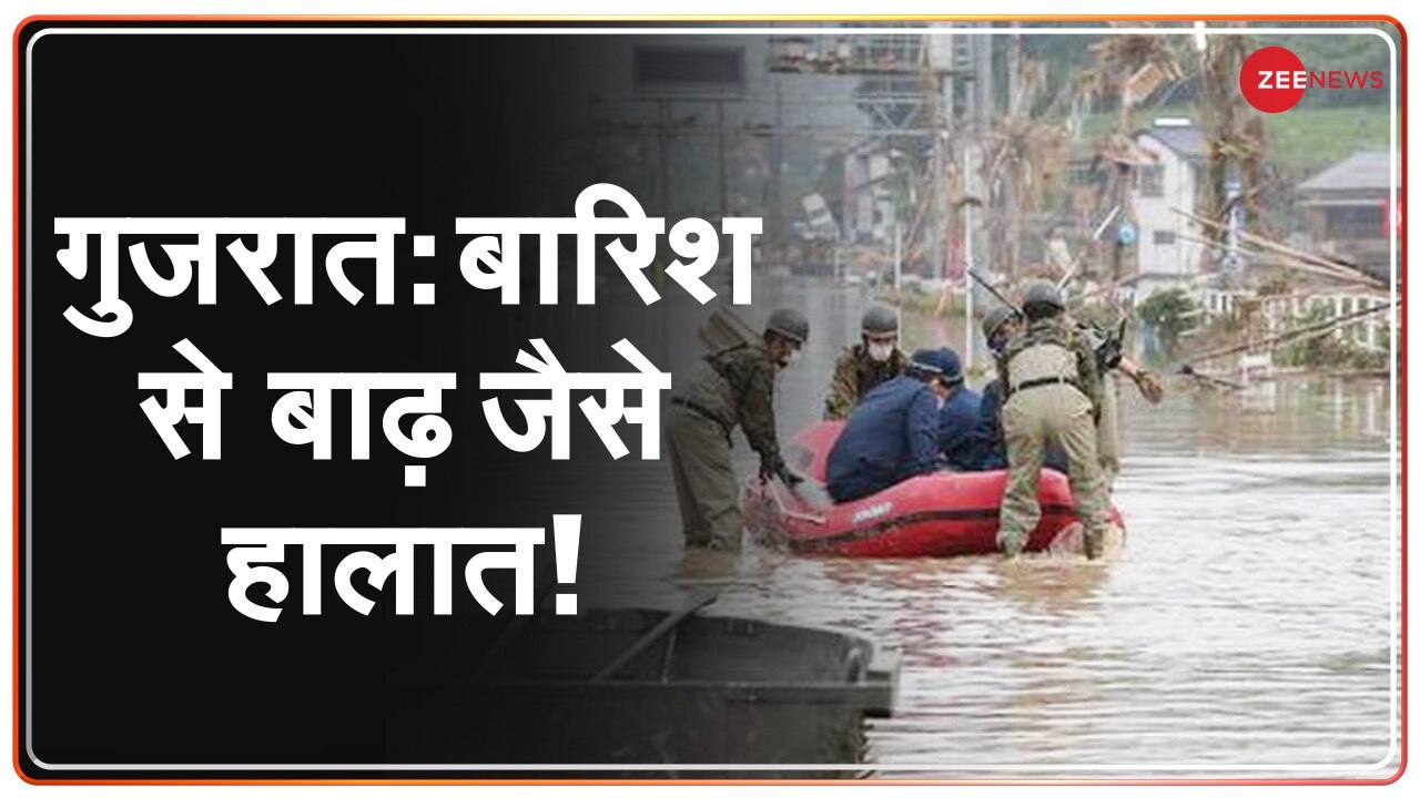 Flood in Gujarat's Jamnagar due to heavy rain, many animals flow into ...