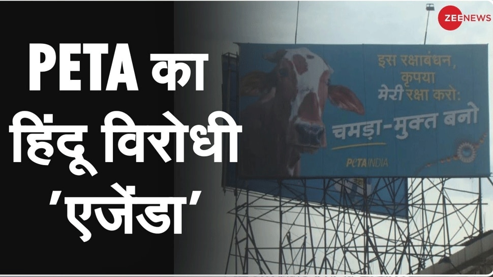Controversy over PETA leather free campaign | हिंदू भावनाओं से PETA का ...