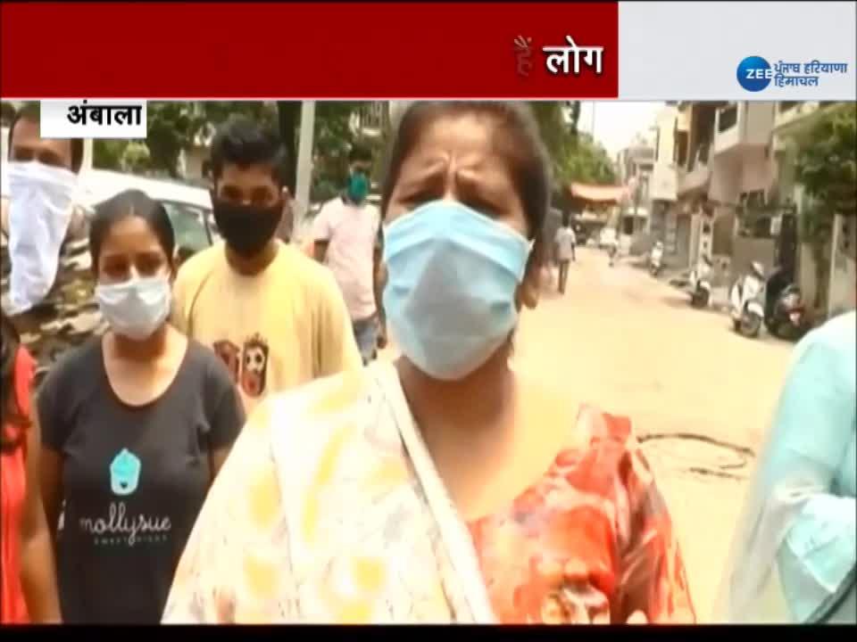 Ambala residents upset with Avara dogs launched this campaign | अवारा ...