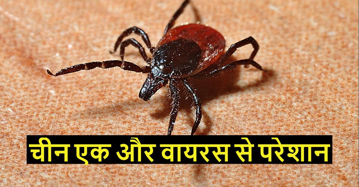 Zee Special Videos : Tick insect is causing SFTSV virus in china | एक ...