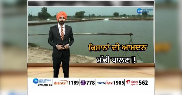 Fish farming in mansa | ਮਾਨਸਾ ਦੇ ਕਿਸਾਨਾਂ ਤੋਂ ਸਿੱਖੋ ਕਿਵੇਂ ਇੱਕ ਏਕੜ ਤੋਂ 1 ...