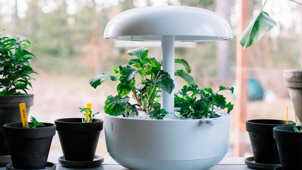 Best smart pots for Indoor Gardening |Indoor Gardening के लिए कमाल के ...