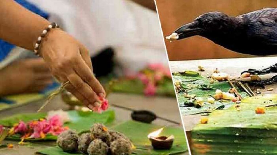 Know the recognition of Pitru Paksha which days do Pitru happy by ...