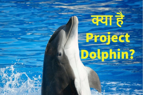 Zee Special videos on Why is it important to save dolphins? | VIDEO ...