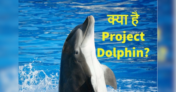 Zee Special videos on Why is it important to save dolphins? | VIDEO ...