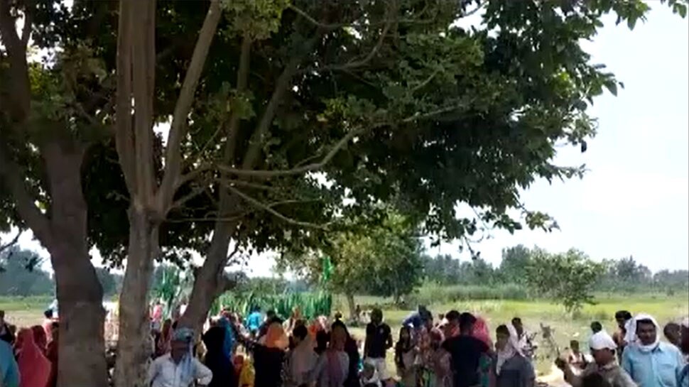 Water flowing from a tree in Bahraich people believe divine miracle ...