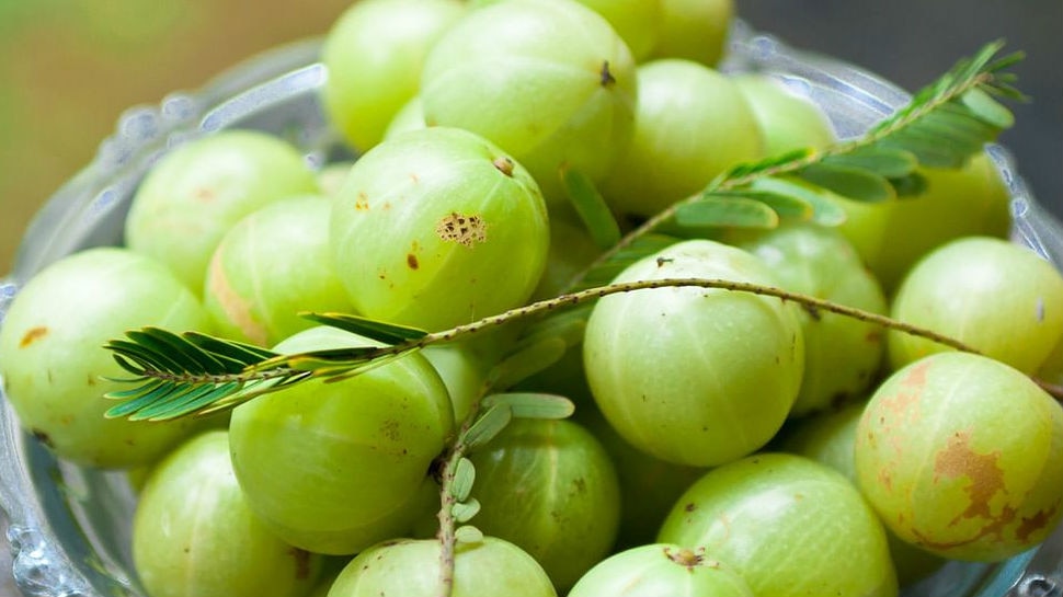 health benefits of amla | आंवले के 10 करिश्माई फायदे,