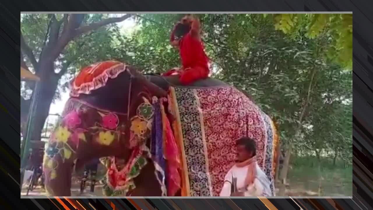 Baba Ramdev fell down of elephant while doing yoga watch video | Video ...