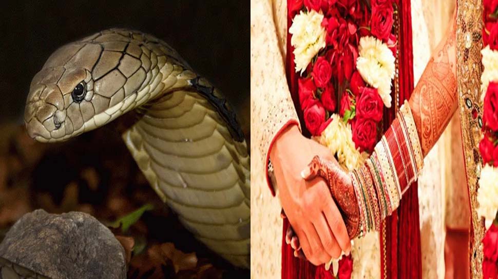 different kind of marriage rituals snake given to newly married couple ...