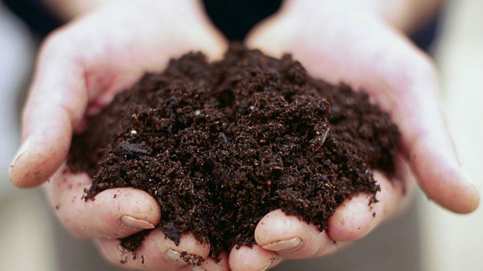 [know about home remedies of black soil for skin and pain] | [काली ...