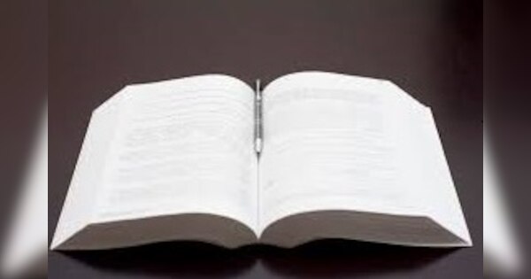 Twelve years old writer wrote his first novel -'The Double Force and ...