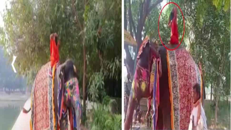 Baba Ramdev Did Yoga on Elephant Back Again This Time Without Fail upns ...