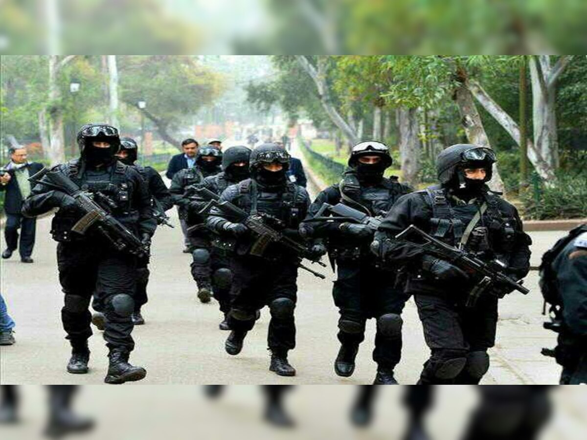 India deploys Marcos commandos at Pangong lake | भारत ने पैगोंग झील में ...