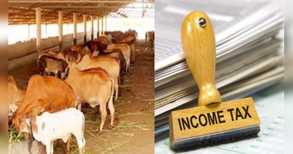 Madhya Pradesh government plan, donate to Goshala, get relief from ...