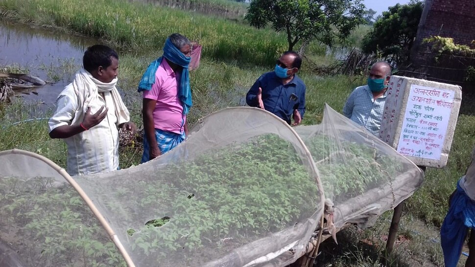 Portable farming is proving to be boon for farmers in Bagha | बगहा ...