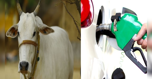 News cow cess on petrol diesel and LPG | एक और झटका! पेट्रोल, डीजल, LPG ...