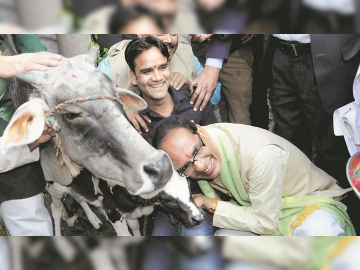 News cow cess on petrol diesel and LPG | एक और झटका! पेट्रोल, डीजल, LPG ...