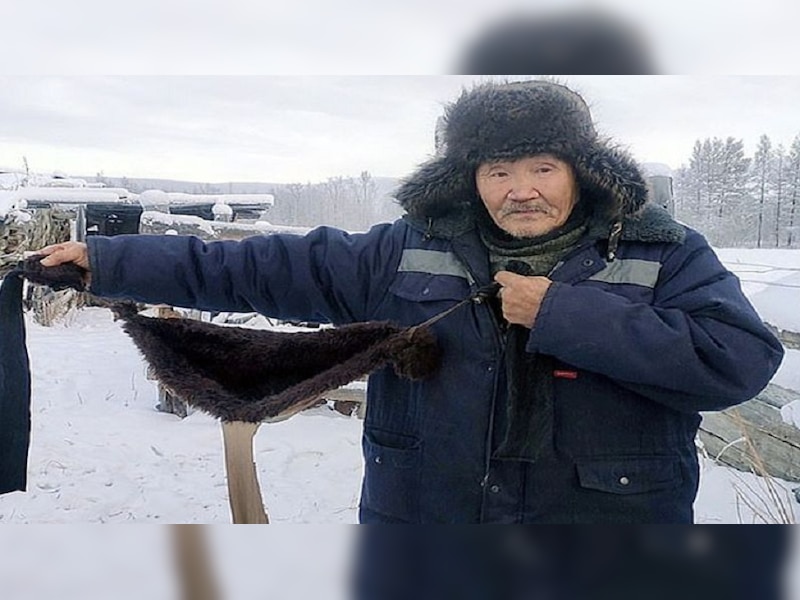 cows are made to wear woolen bras in the world s coldest village in ...