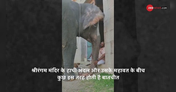 This relationship between the Mahavat and the elephant teaches the real ...