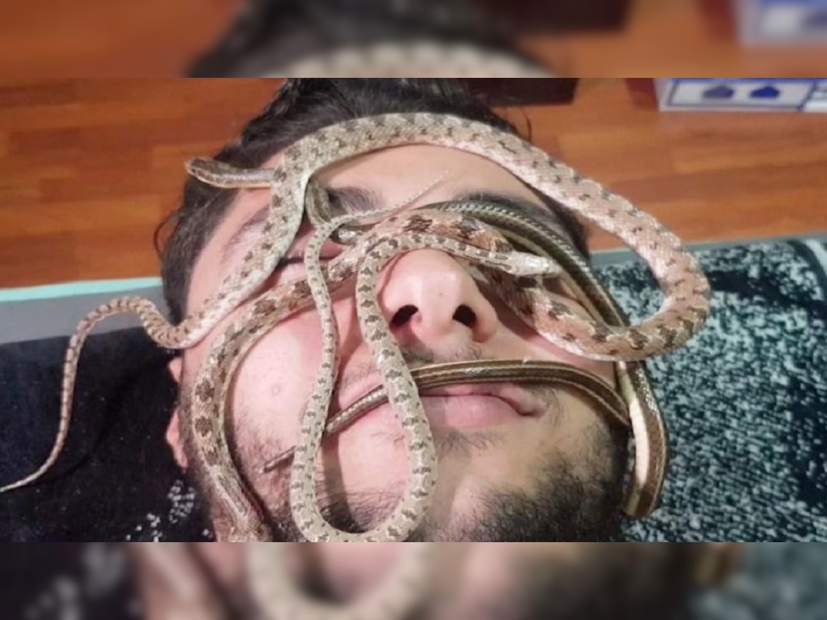 viral pictures of special snake massage in an egyptian spa centre ...