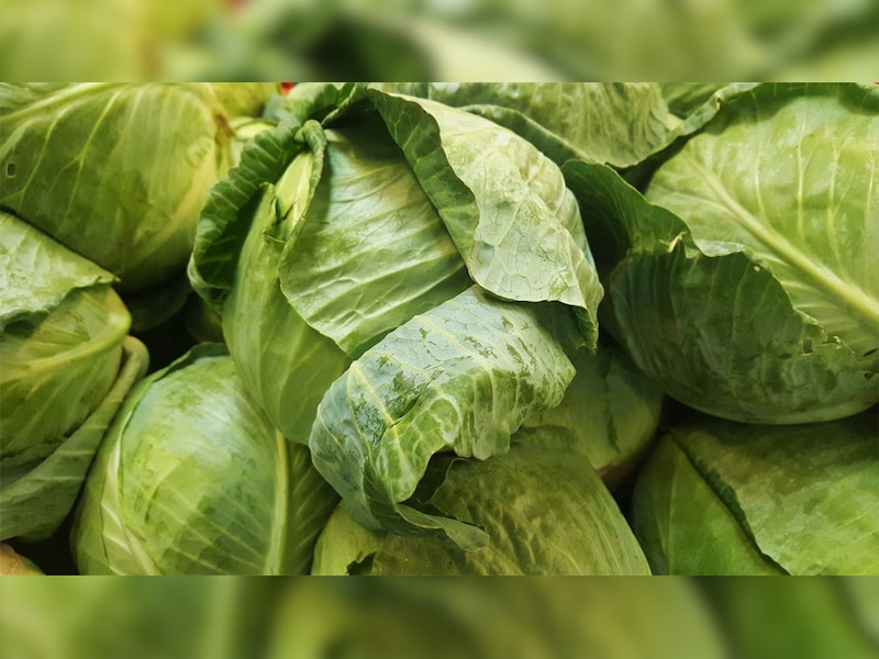 Tapeworm Cabbage insect enters human brain and cause Epilepsy | Cabbage ...