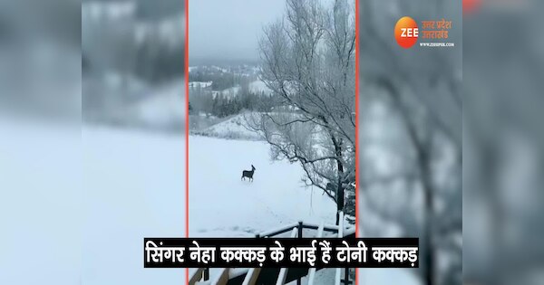 tony kakkar shares video of the deer dancing on song watch viral video ...