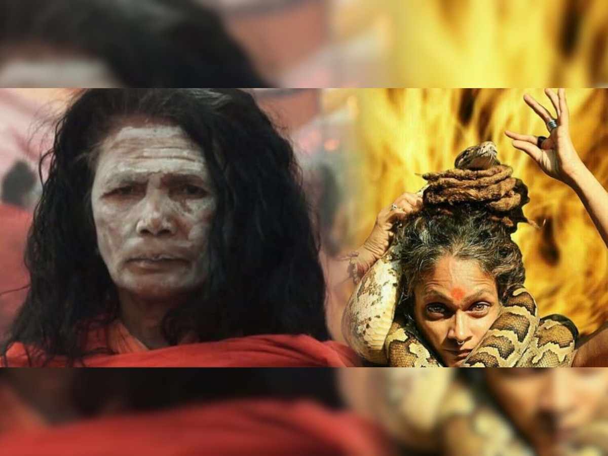 interesting facts about female naga sadhu that everyone must know ...