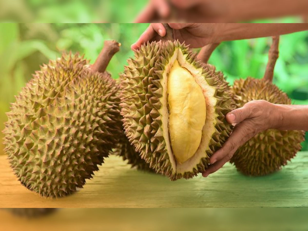 strangest chinese fruits in india amid dragon fruit kamalam controversy ...