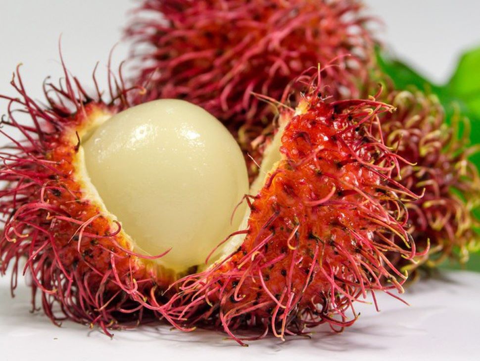 strangest chinese fruits in india amid dragon fruit kamalam controversy ...