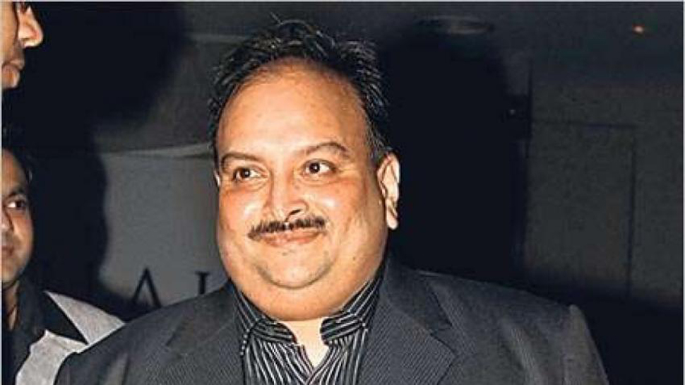 Ed Attached Assets Worth Over 14 Crore Belonging To The Gitanjali Group