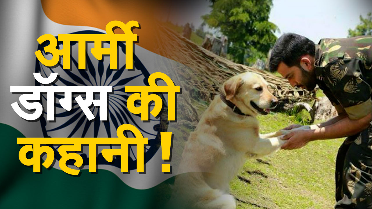 Lifestyle of indian army dogs and what happened to them after their ...